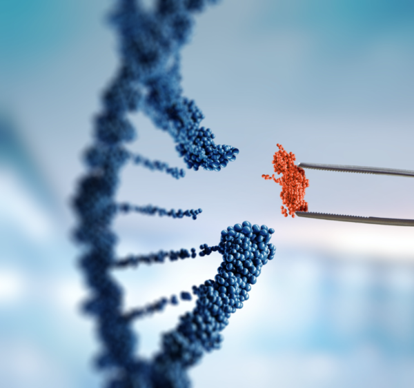 About Us – Genetic Health